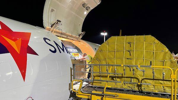 An expanding cargo fleet - SmartLynx adds two more A321Fs. As part of