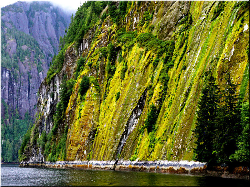 ПРИРОДА ШТАТА АЛЯСКА. Обсуждение на LiveInternet - Российский Сервис ...