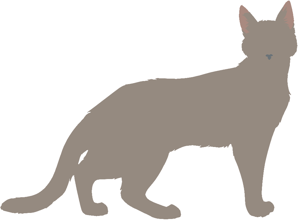 Cat Maker ― Perchance Generator