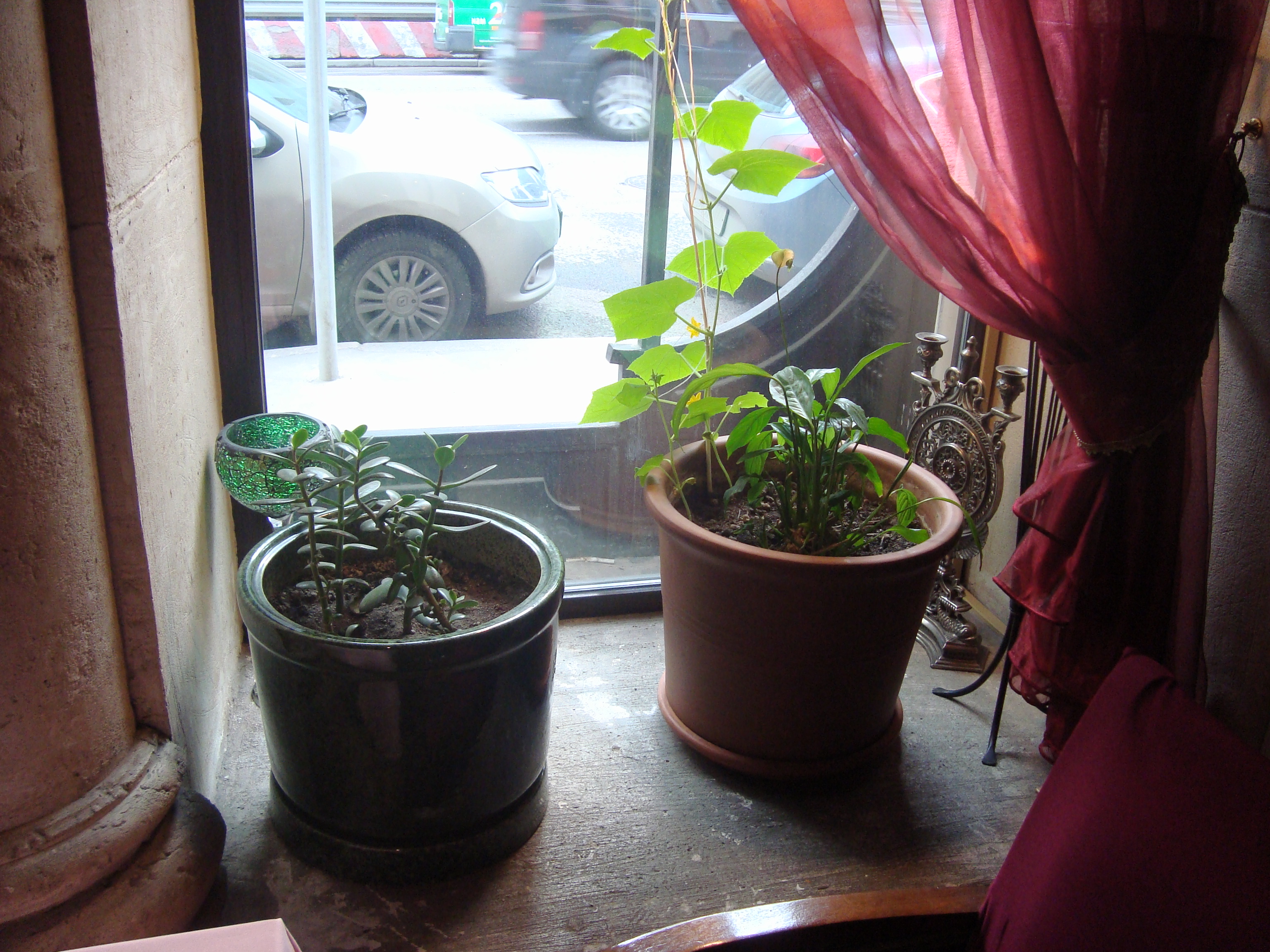 Сам пришёл: shepelev — LiveJournal