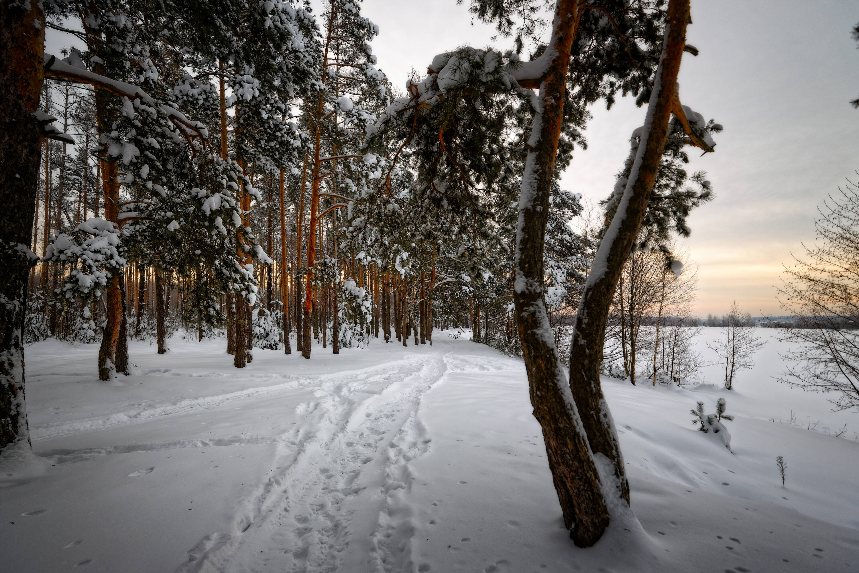 Canon EOS R5 Mark II | Клуб Foto.ru - страница 379